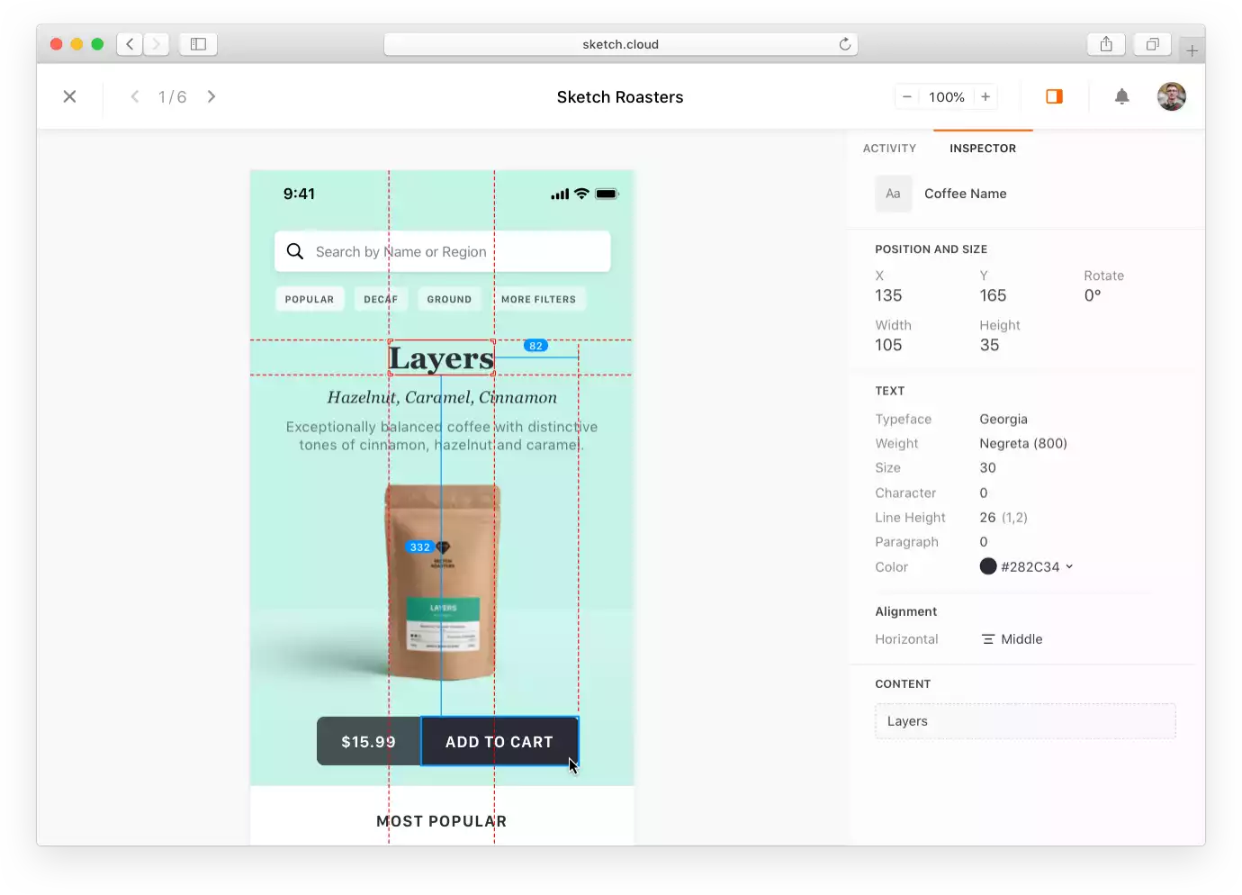 Technical Documentation in Software Development: Types and T