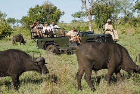 Domestic Travel Altexsoft