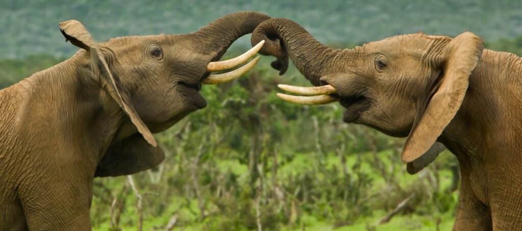 Apache Hadoop Vs Spark Main Big Data Tools Explained Altexsoft 2149