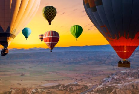 Domestic Travel Altexsoft