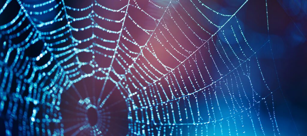 Web Services: Use Cases and Key Architectures | AltexSoft