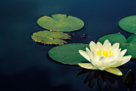 Rate plan - AltexSoft